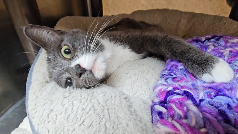 Local News – Treasure Coast Free Press